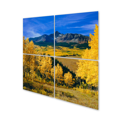 Shop - ShowFire Displays, Inc.